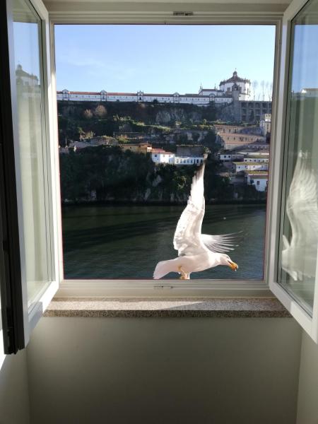Red House By The River - Ribeira