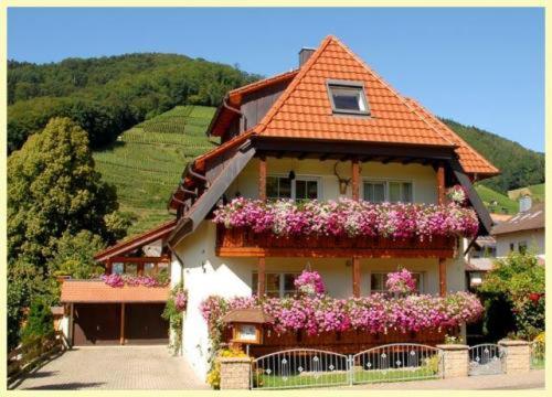 Haus Sonja - Zwarte Woud