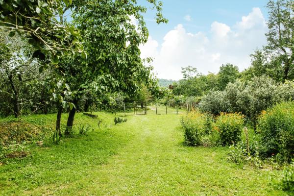 Daraselia Family Guesthouse - Georgia