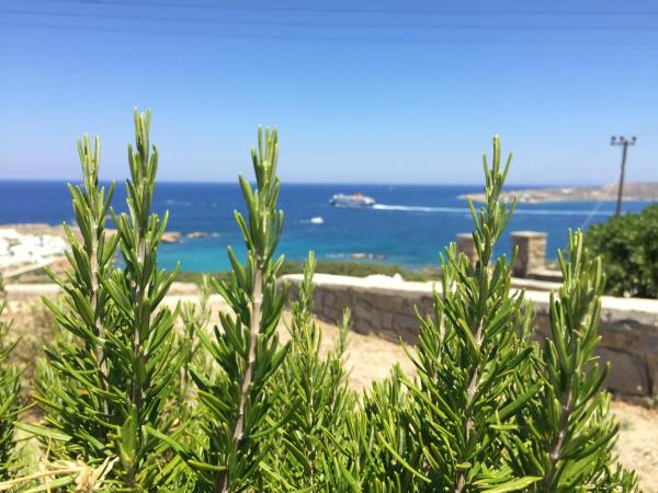 View House In Paroikia Paros - Paros