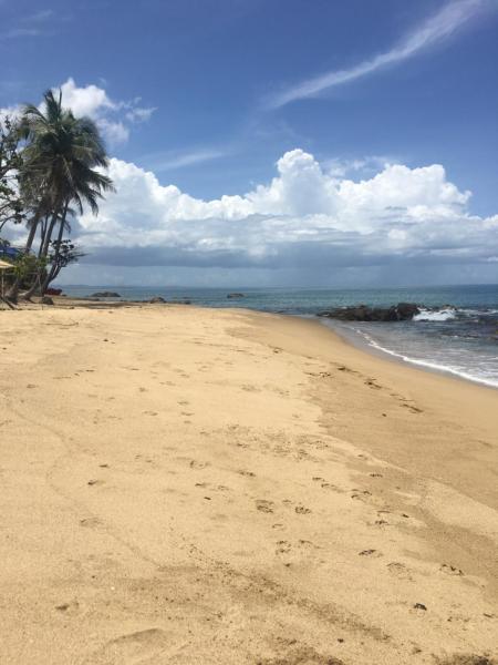 Brisas Del Mar 1/1 Front Beach Apartment - Mayagüez