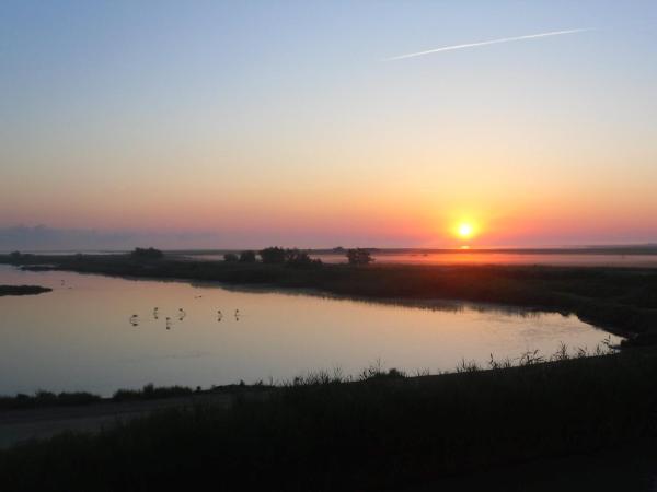 Chambre Les Flamants, Avec Vue Imprenable Sur Les éTangs, Les Oiseaux, La Nature, Petit Déjeuner Compris - Saintes-Maries-de-la-Mer