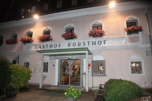 Forsthof Next Door - Bad Hall