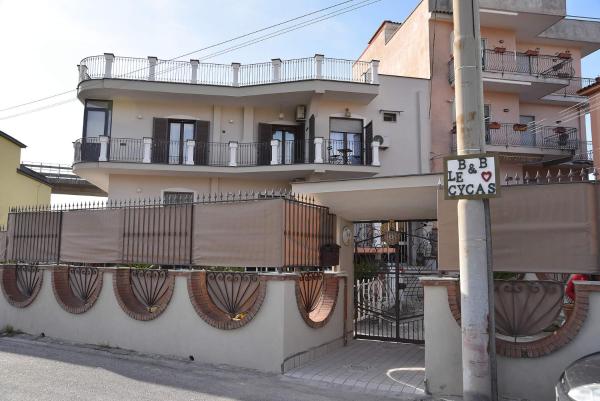 B&b Le Cycas - Castellammare di Stabia