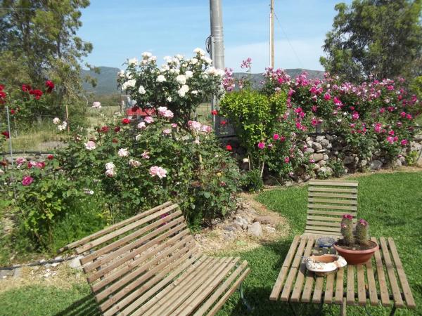 Il Vecchioliveto Di Ornella - Sardinia