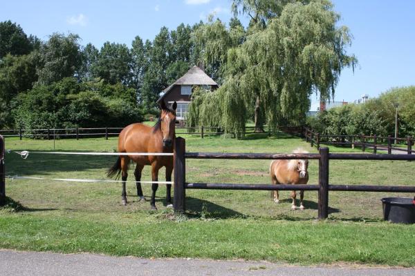 B&b Pension "Op'e Koai" - Joure