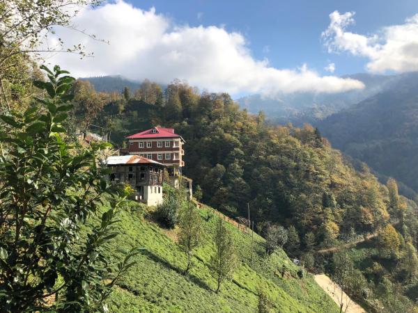 Gunguli Pansiyon - Rize