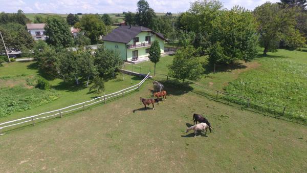 Apartments With A Parking Space Irinovac, Plitvice - 17376 - Croatia