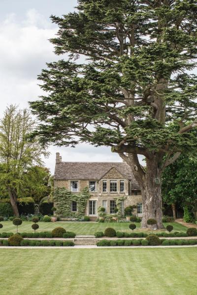 Thyme - Burford
