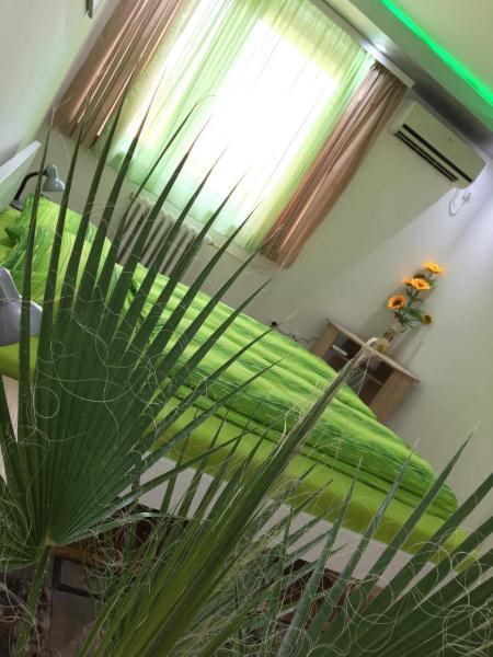 Green Dreams - Novi Sad