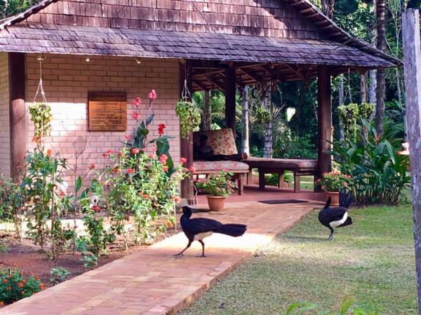 Atta Rainforest Lodge - Guyana