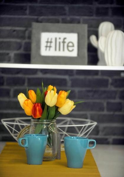 Rijeka Center- Apartment Flumen - Istrien