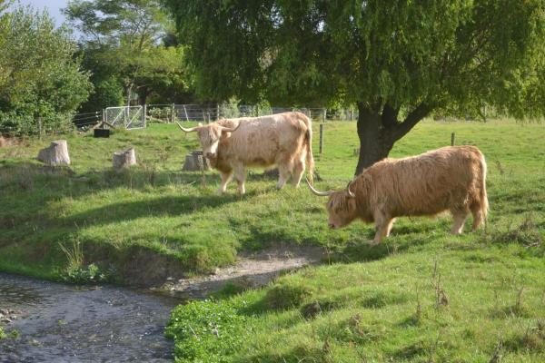 Highlands On Homestead - Oamaru