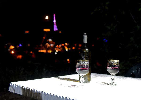 Panorama Of Tbilisi - Tbilisi