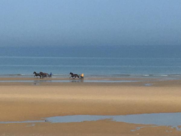 Chez Fany Et Ben - Plage de Cabourg