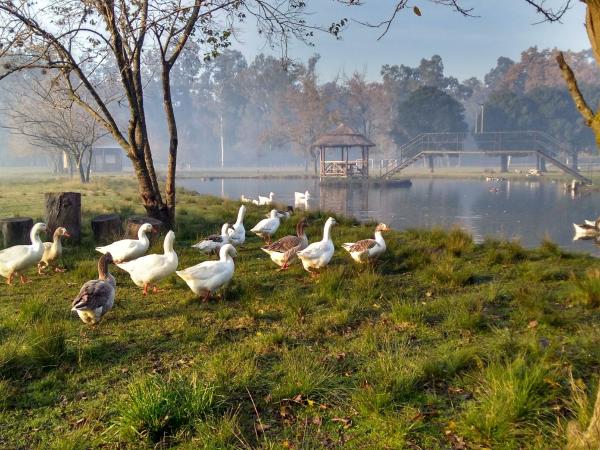 La Justina - Nuestro Campo - Buenos Aires