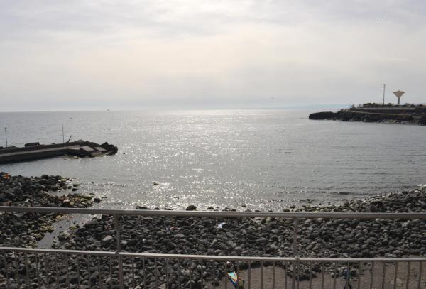 Niria Home - Katania