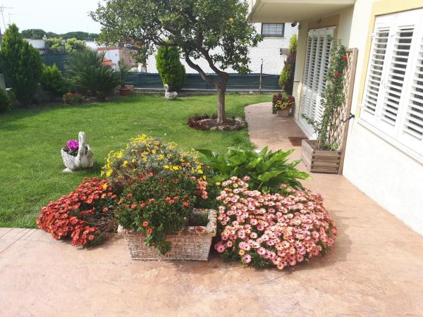 Bed And Breakfast Angolo Fiorito - Civitavecchia