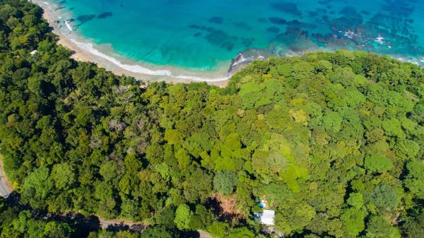Casa Cerise Beachfront - Costa Rica