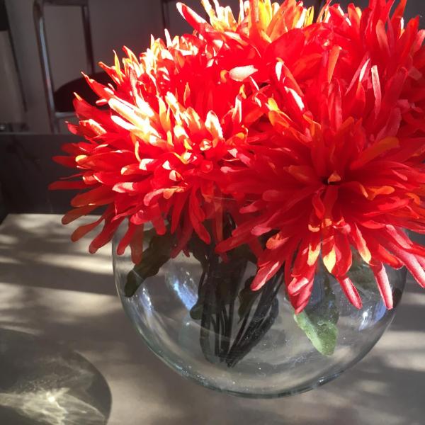 Rivadavia San Juan Casa En Alquiler Cotización Oficial - San Juan