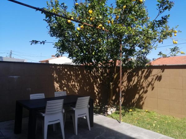 Lemon Tree Apartment - Mindelo