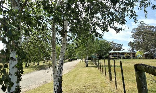 Nicholson Bnb And Arts Centre. Working Art Studio - Bairnsdale