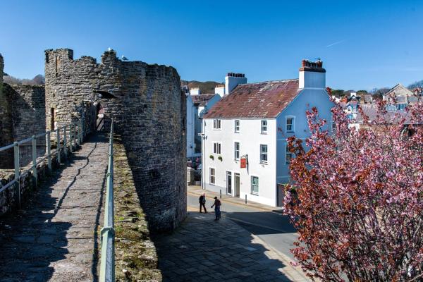 Number 18 - Conwy