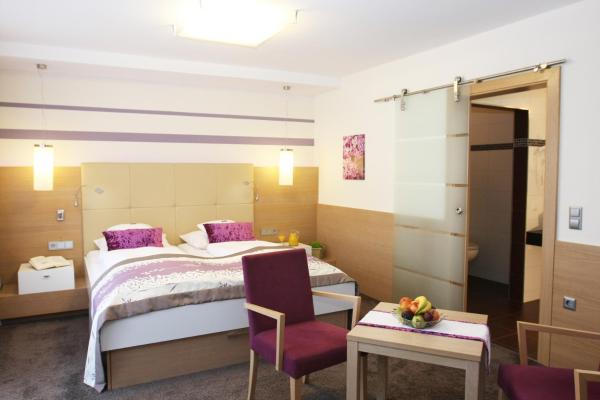 Hotel Lenauhof - Pfarrkirchen