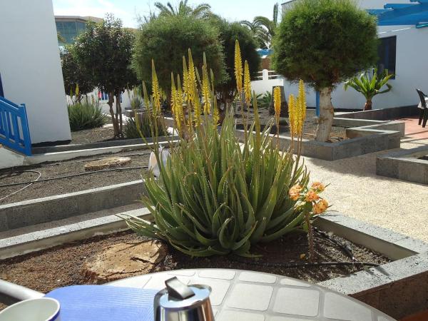 Vv Apart 10a - Fuerteventura