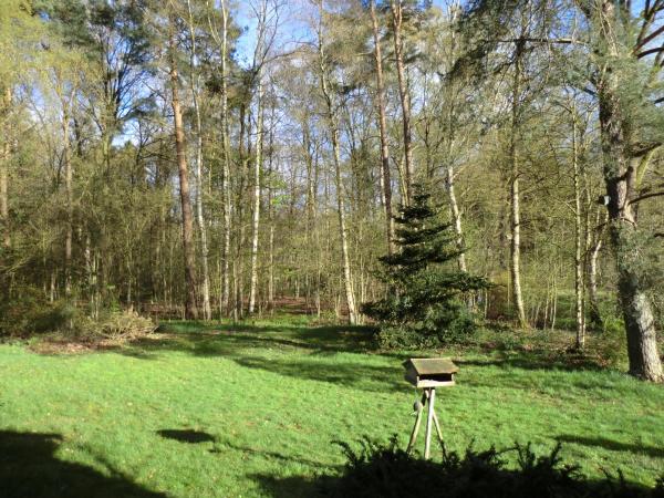 Ferienwohnung Bachforelle - Schneverdingen