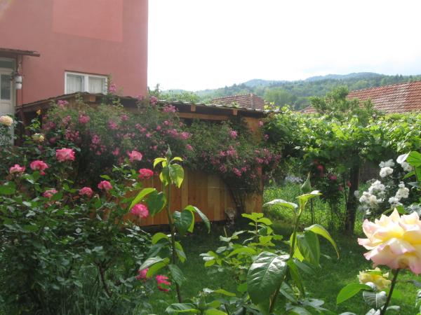 Casa Fabrizio - Transilvania
