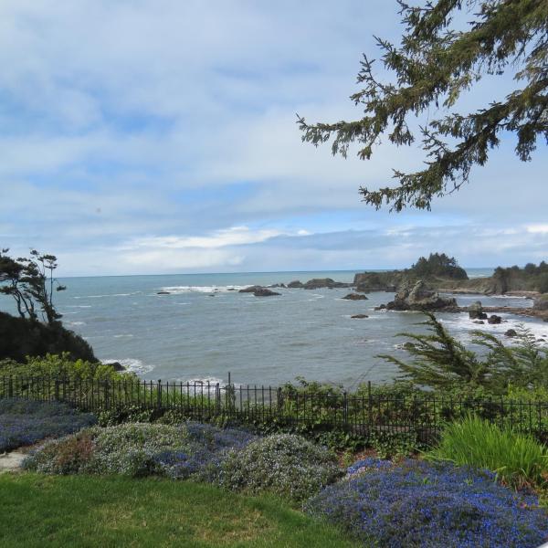 Tanbark Shores Guest Suite - Harris Beach State Park, Brookings