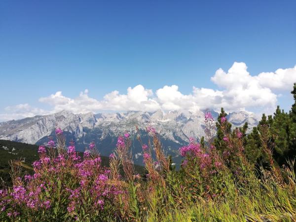 Appartamento Paganella - Andalo