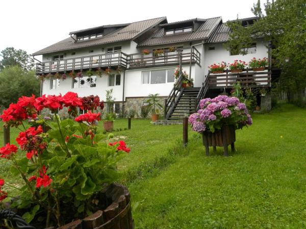 Pensiunea Cerbul Carpatin - Roemenië