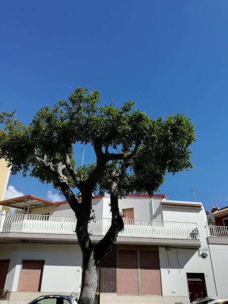 Case Degli Avi, Camere Nel Borgo Marinaro - Pozzallo