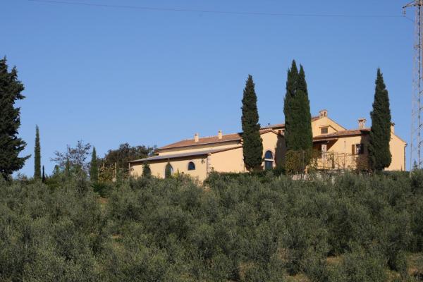 Donzellino - Follonica
