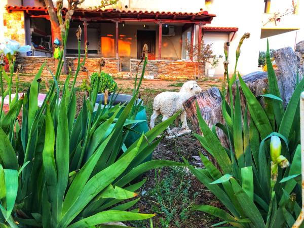 The Hillhouse Near Alexandroupolis ,Daphnee Apartment - Çanakkale