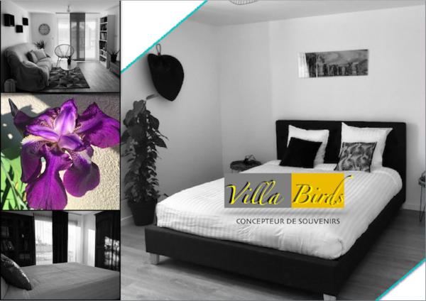 Villa Birds - Chambly