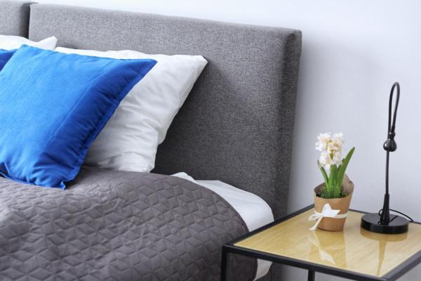 Apartamenty Polanka - Poznań