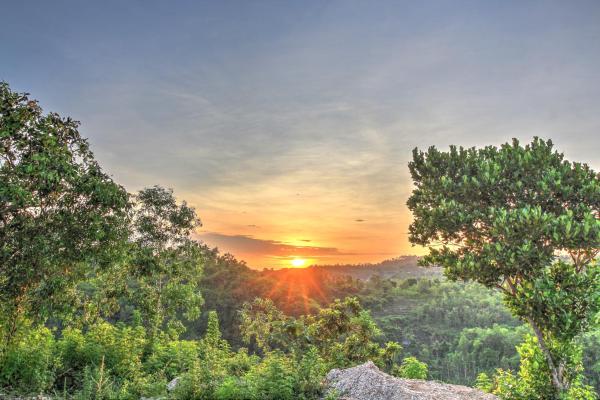 Ayu Hill Bungalows - Indonesia