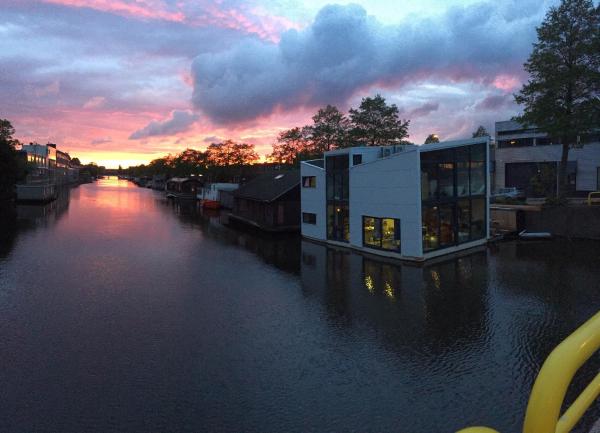 Reiwa - Weesp
