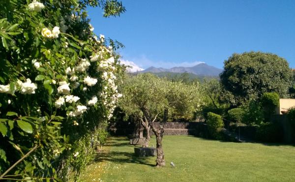 Casa Vacanze Prato Verde - Milo
