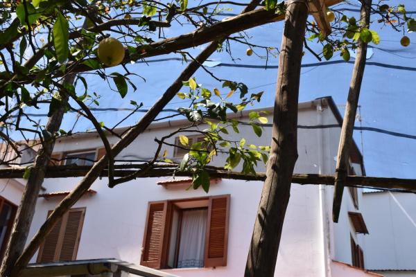 Villa Carmela - Piano di Sorrento