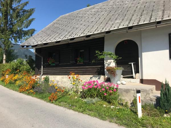 Kali Rustic Bohinj House - Trenta