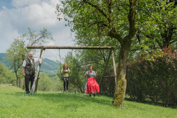 Hotel Hemetsberger - Attersee