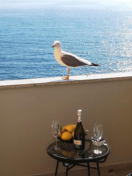 Alex Room - Manarola