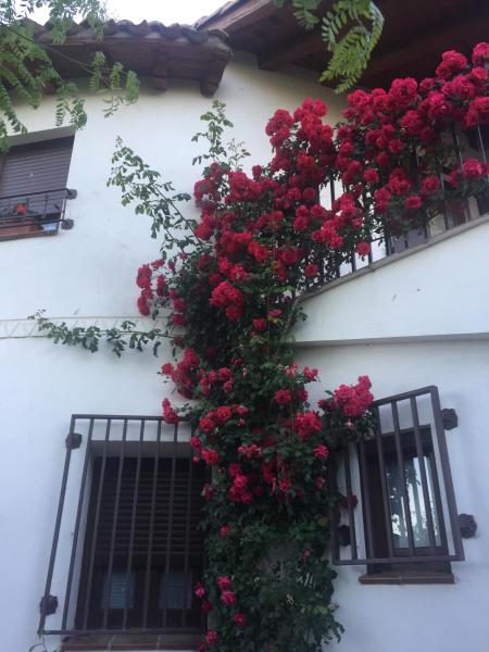 Casa Rural - Al Alba - Cuevas del Valle