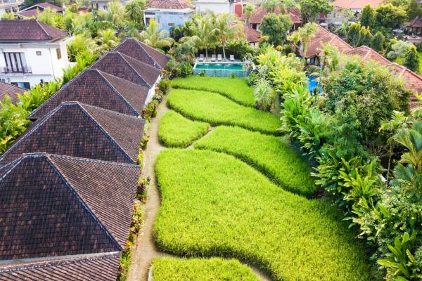 Abipraya Ubud - Ubud