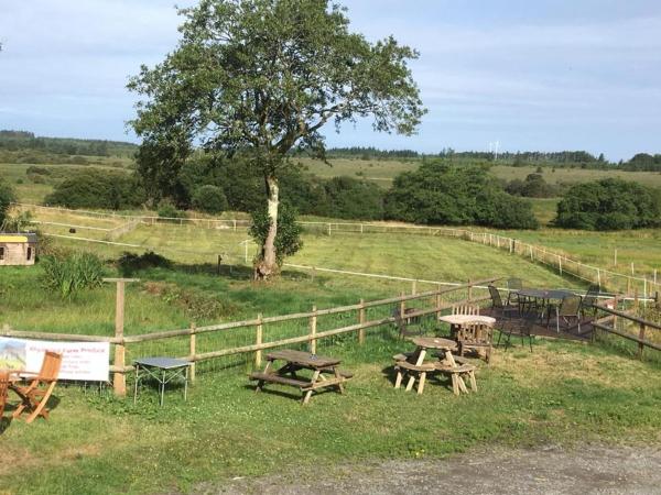 Rhydgaled - Wales