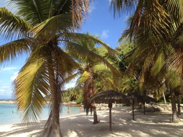 Apartment / Studio In An Estate With Infinity Pool And Beach. - Guadeloupe